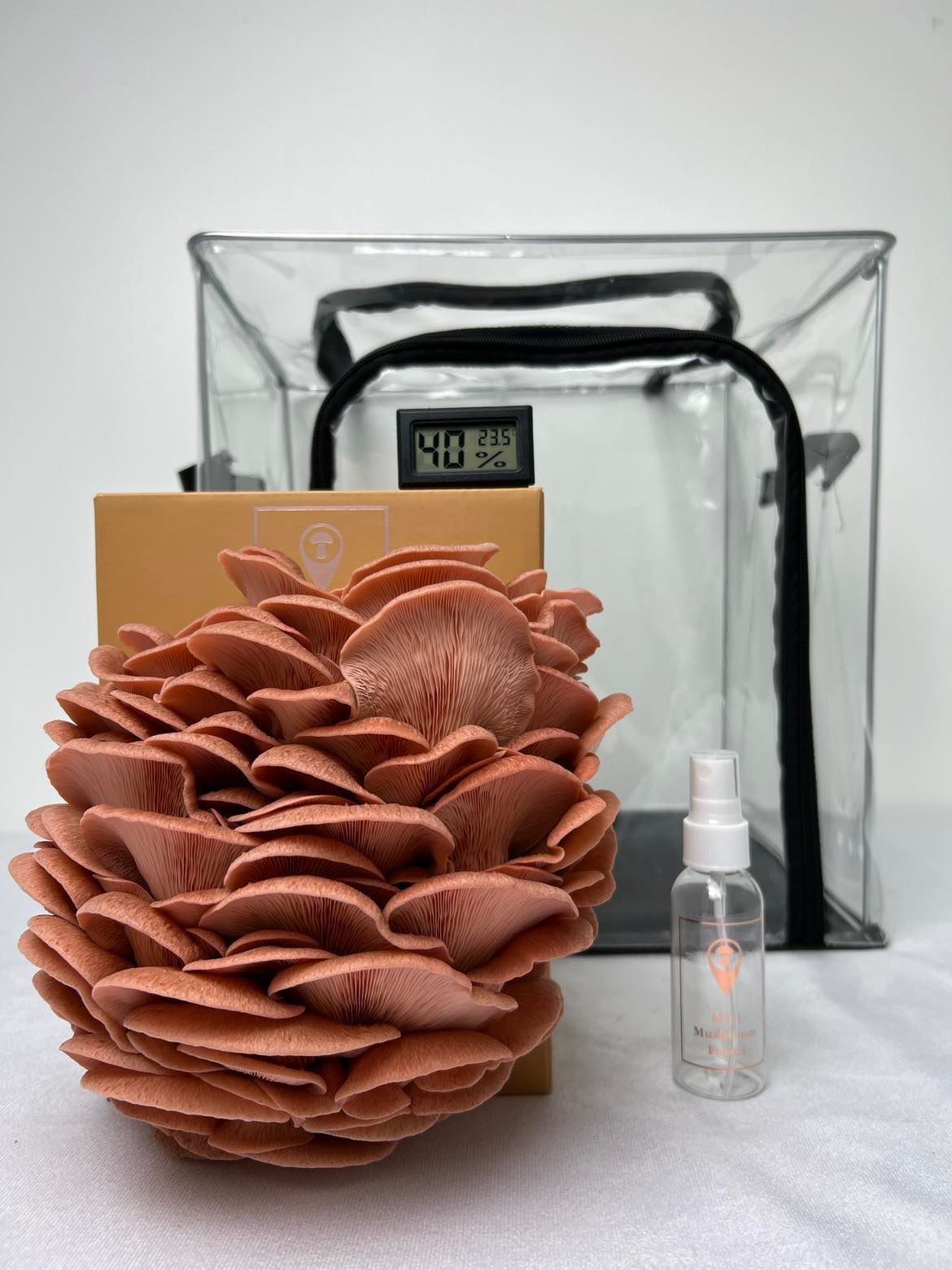 Essentials Bundle Gift Set + Grow Kit – minimushroomfarms.com