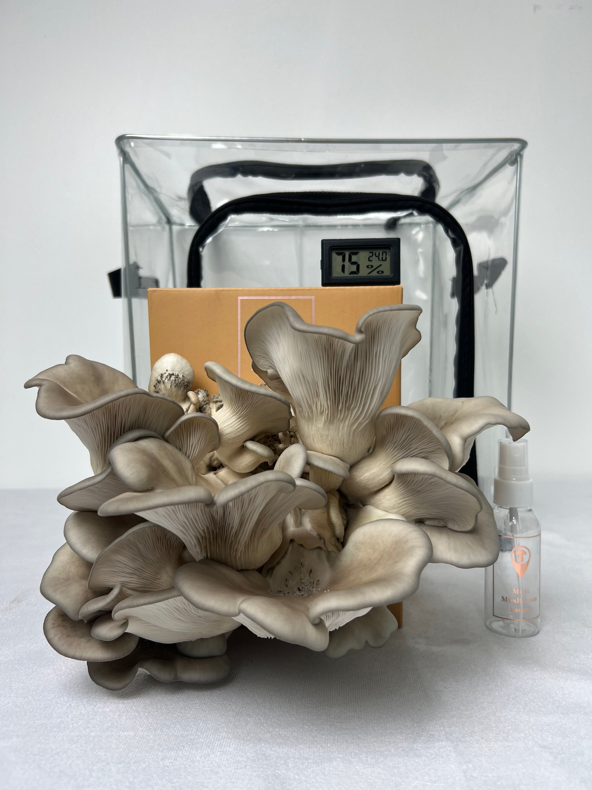 Mushroom Farm | Grow Kits and Mushroom Farming – minimushroomfarms.com