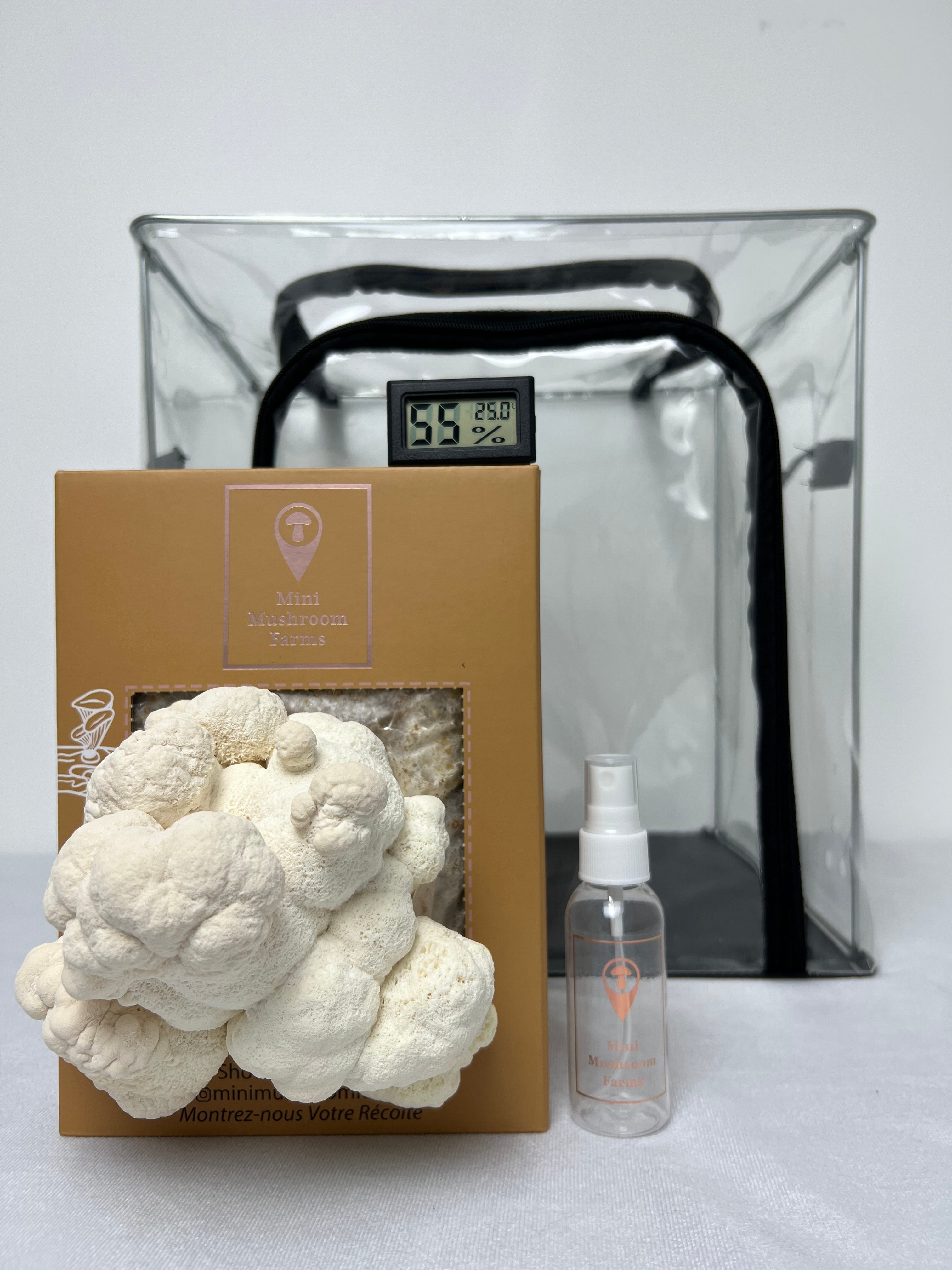 Essentials Bundle Gift Set + Grow Kit – minimushroomfarms.com