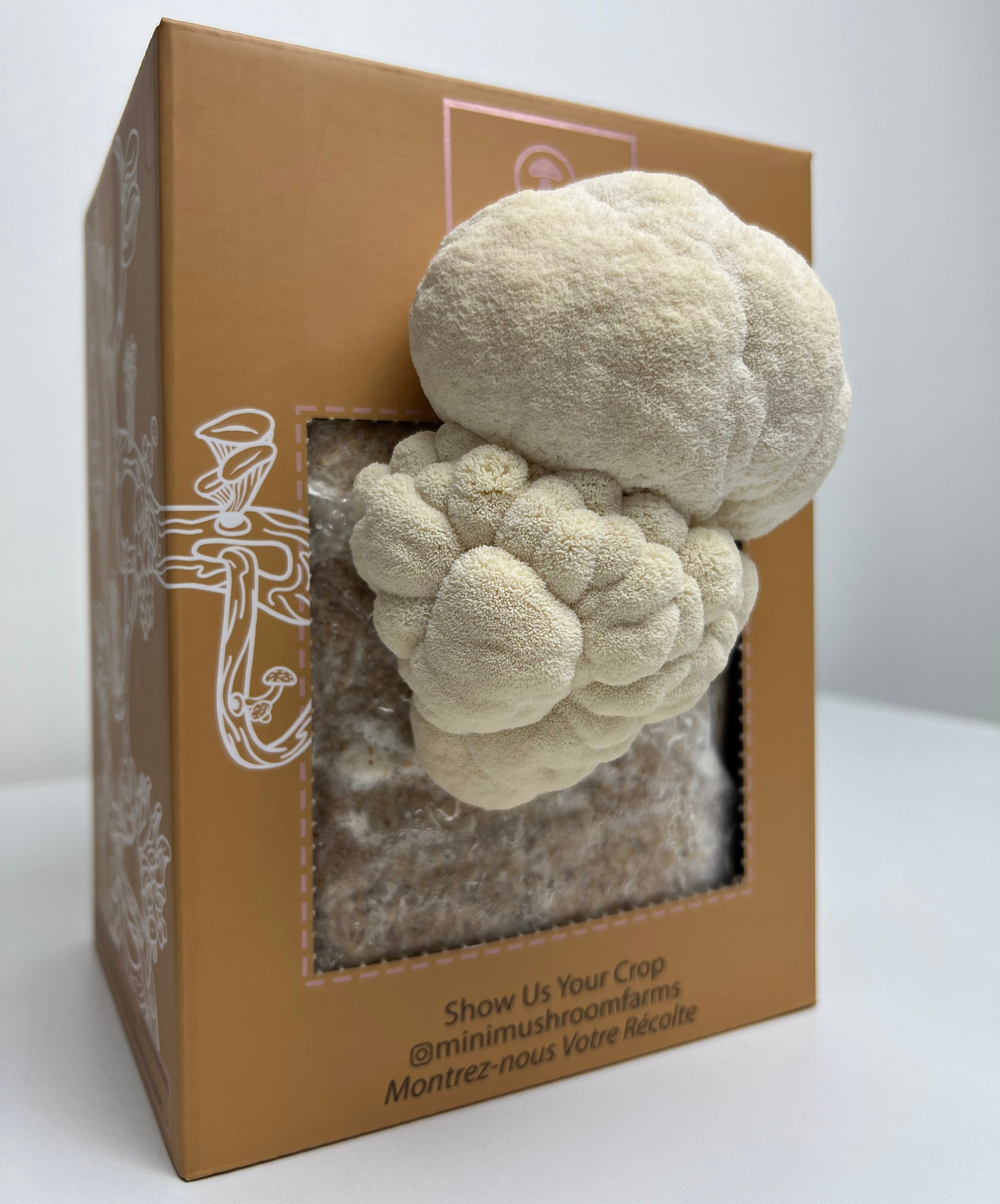 Mushroom Grow Kits | Easy to Use High Yield Grow Kits ...